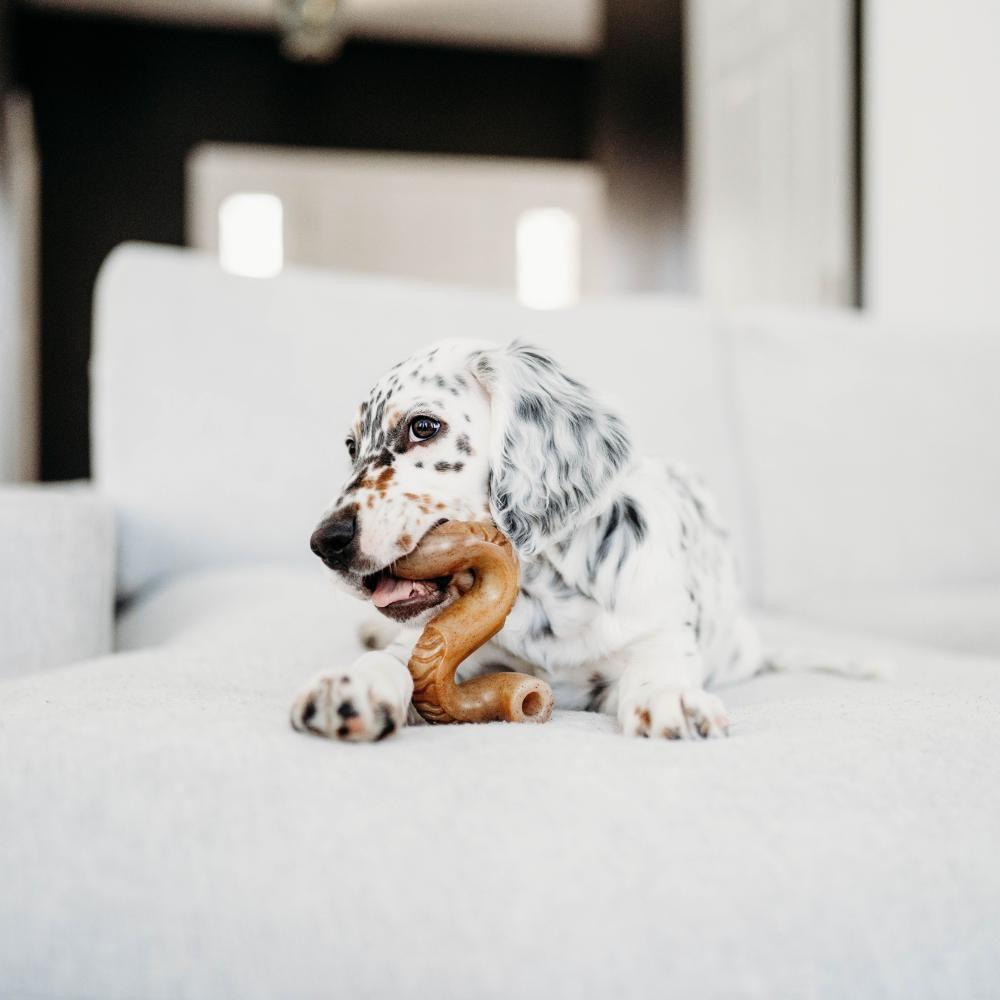 Benebone Tripe Bone – ByDoodleDog.se